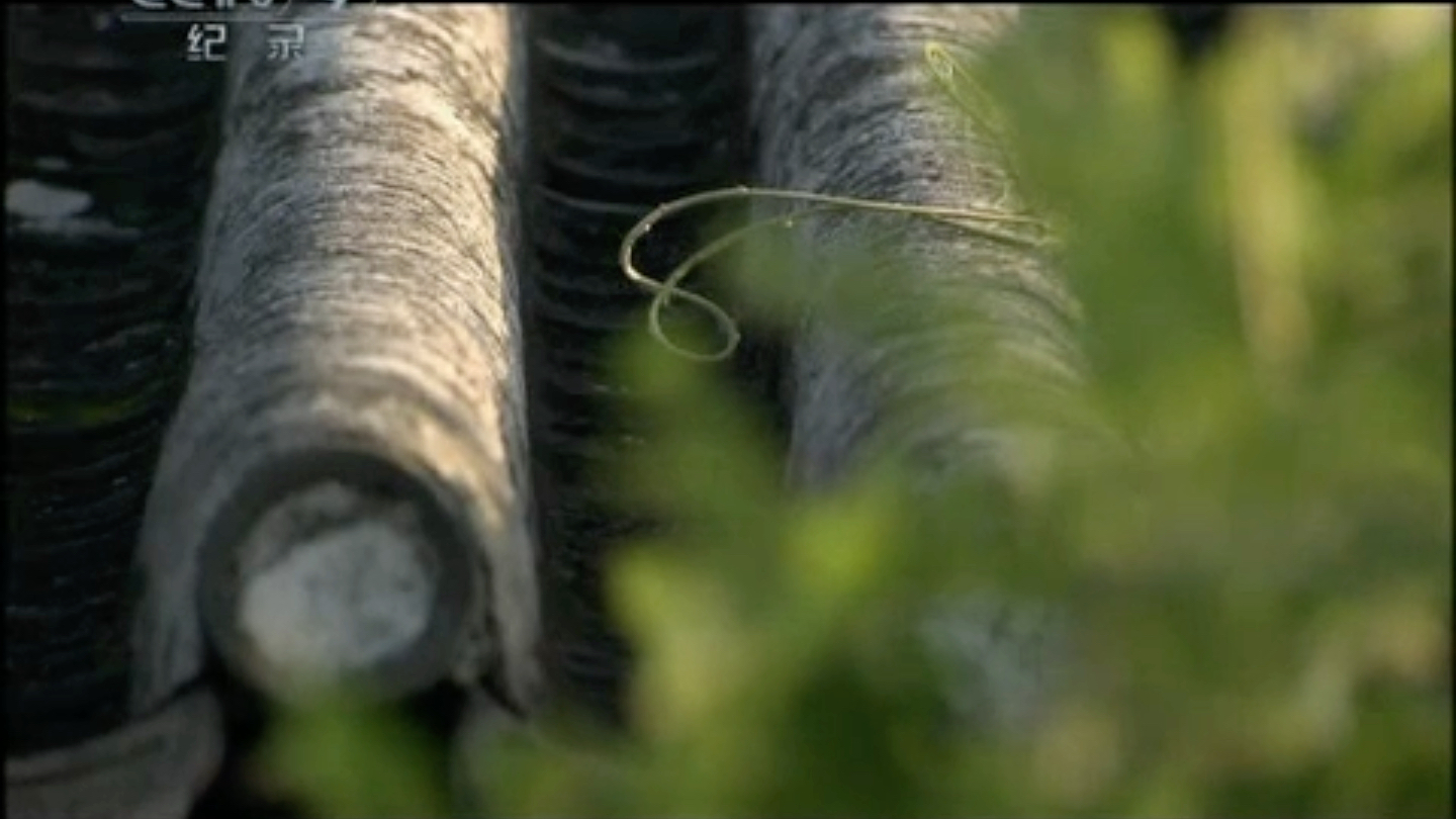 林徽因梁思成纪录片片段配音2