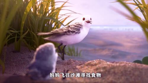 一只小鸟的成长之路,励志动画短片