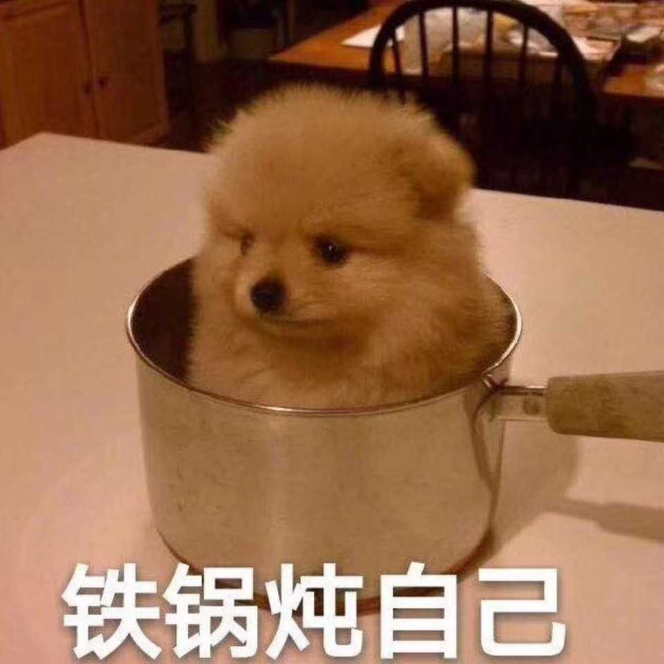 铲屎曹 
