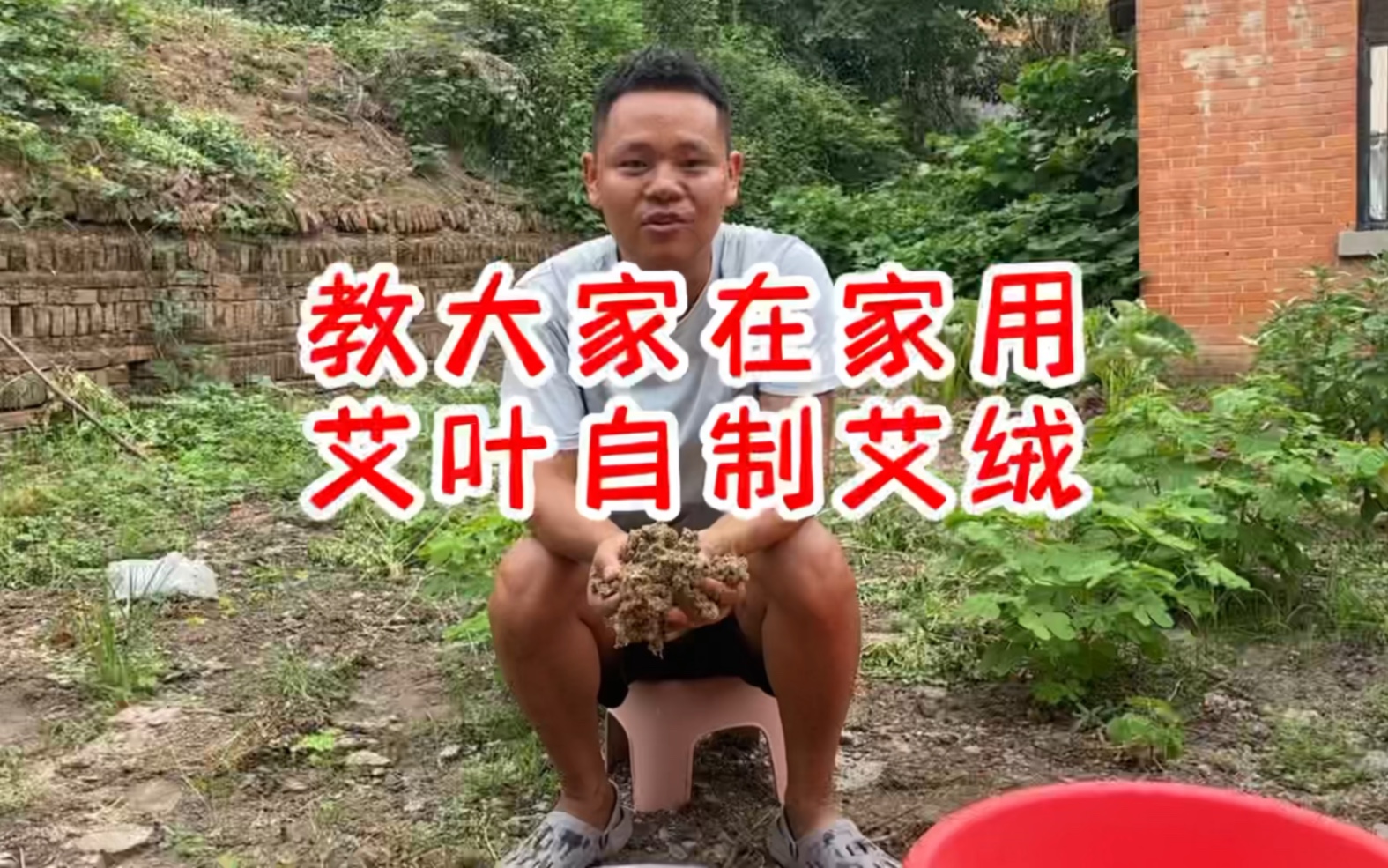 教大家在家用艾叶自制艾绒