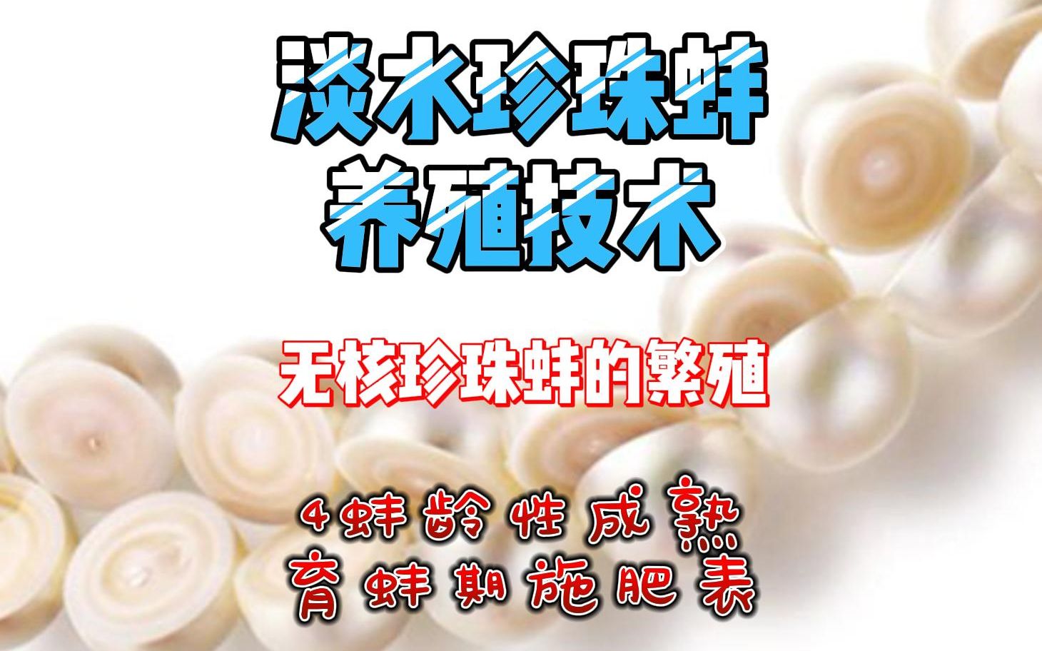 淡水珍珠蚌养殖技术--珍珠蚌的繁殖