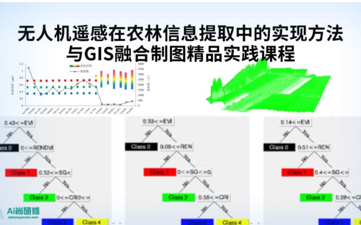 无人机遥感在农林信息提取中的实现方法与GIS融合应用高级实践课程(...