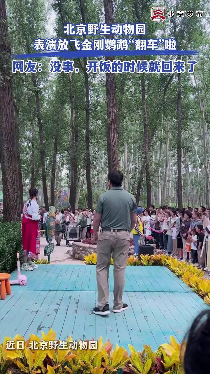 北京野生动物园表演放飞金刚鹦鹉"翻车"啦?!网友:没事,开饭的时候就...