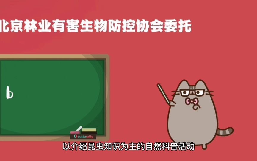 【昆虫学小知识】1、昆虫是什么
