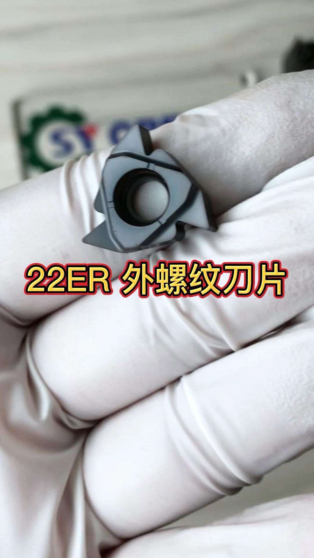 不锈钢钢件 外螺纹刀片22ERM N55 DM4215