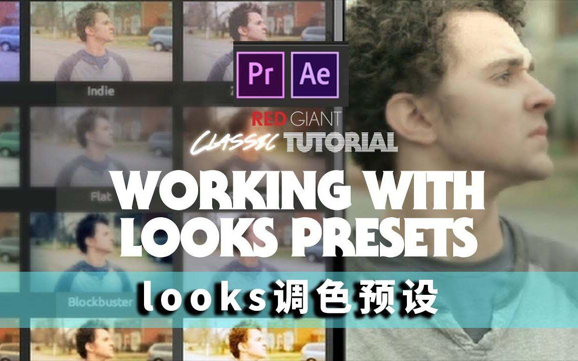 【AE插件】Particular 5 Looks 5 Colorista 5 插件!全网最细!有手就行的...