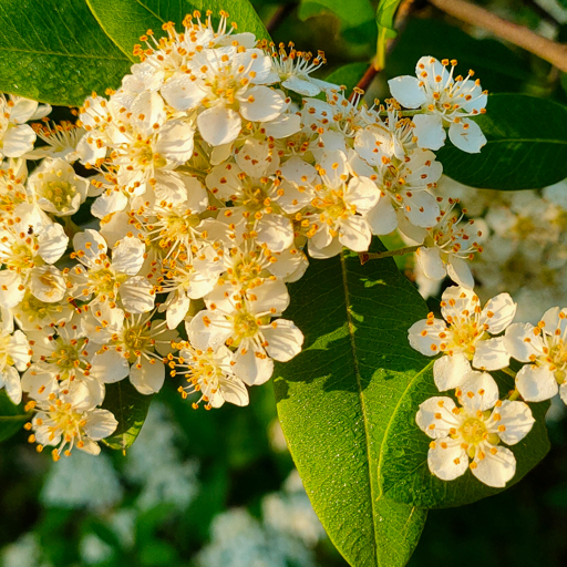 幸福家庭工作坊 