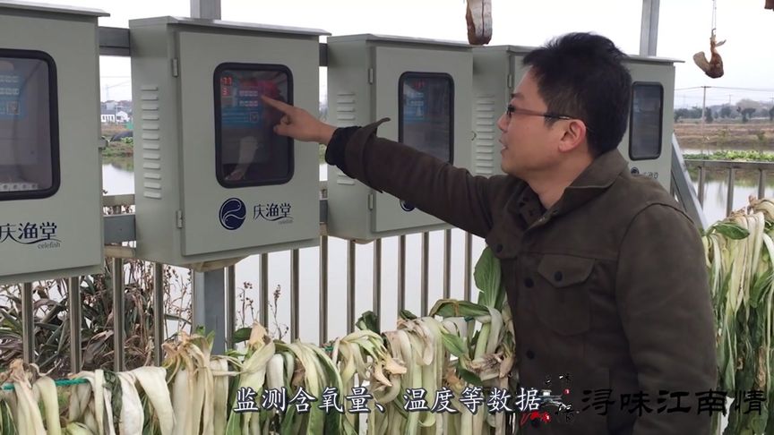 农村养鱼新模式,跑道养殖,110平米产16000斤,信吗