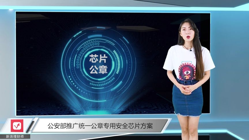 公安部推广统一公章专用安全芯片方案