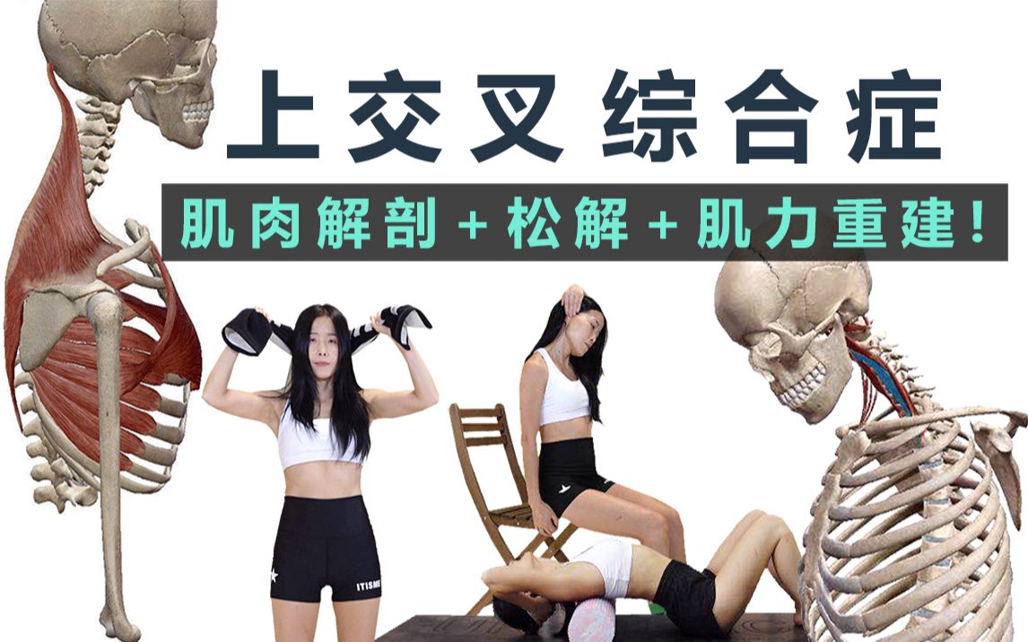 【上交叉综合征】肌肉解剖+松解+肌力重建!系统解决圆肩驼背,头前引,...