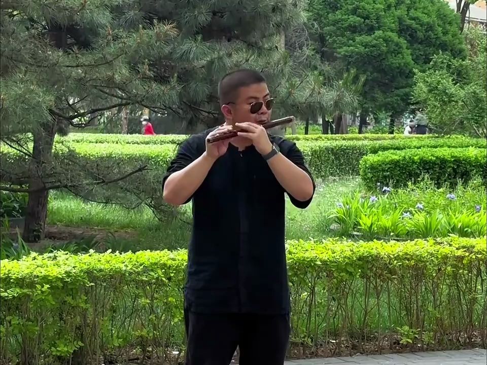 竹笛演奏《百鸟朝凤》完整版,电影《百鸟朝凤》上映多年票房惨淡,却...