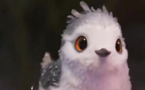 (2017年第89届奥斯卡最佳动画短片) 鹬 Piper(画质1080p)