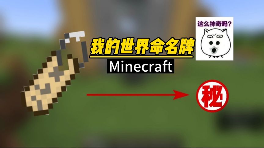 我的世界:命名牌还能这样用的? 太神奇了 ! !
