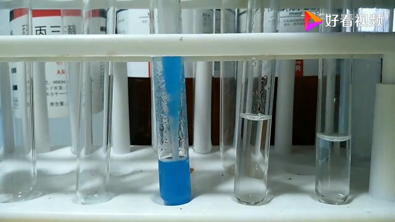 (生物实验)还原糖的检验_好看视频