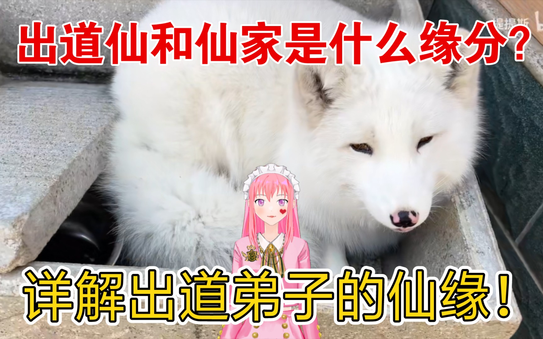 出道仙和仙家什么缘分?详解出道弟子和仙家的缘分,看看你是第几种!