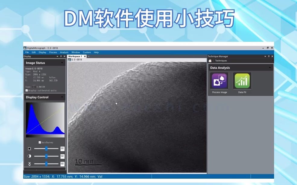【DM】软件使用小技巧||实验|科研|干货