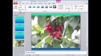 PPT2010设置幻灯片切换