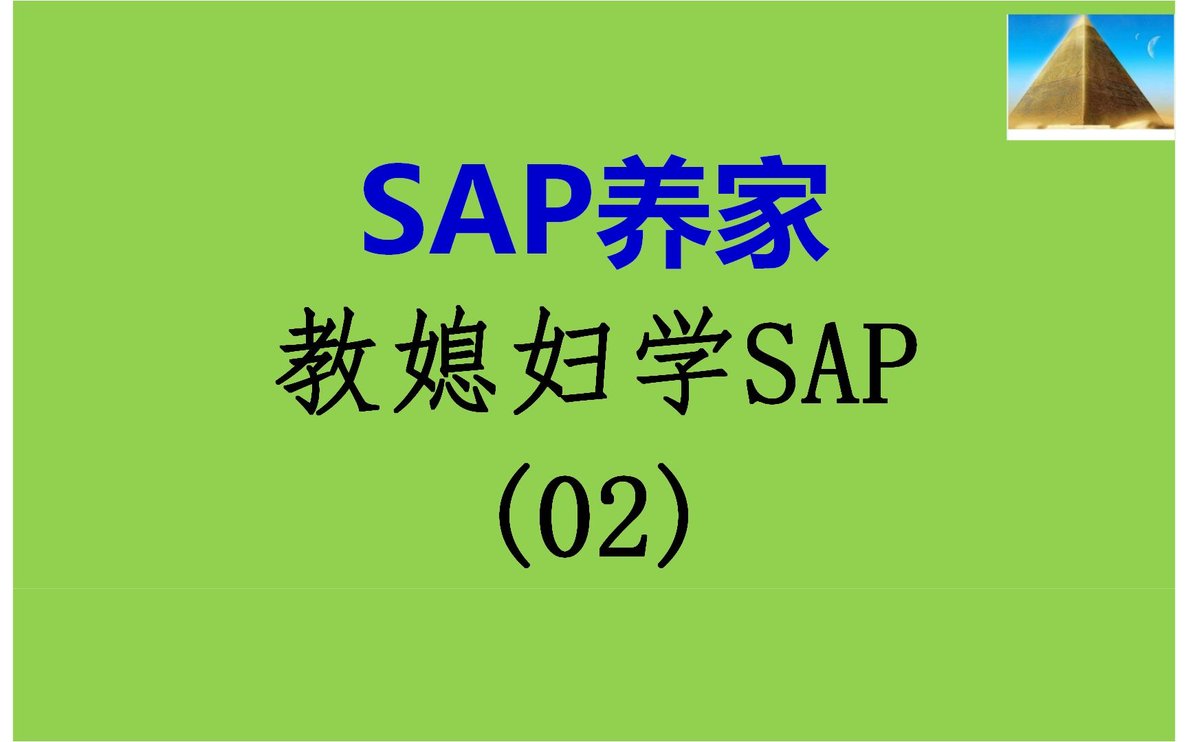 2023 SAP教媳妇学SAP_MM02 SAP S4 HANA SAP FICO SAP MM ...