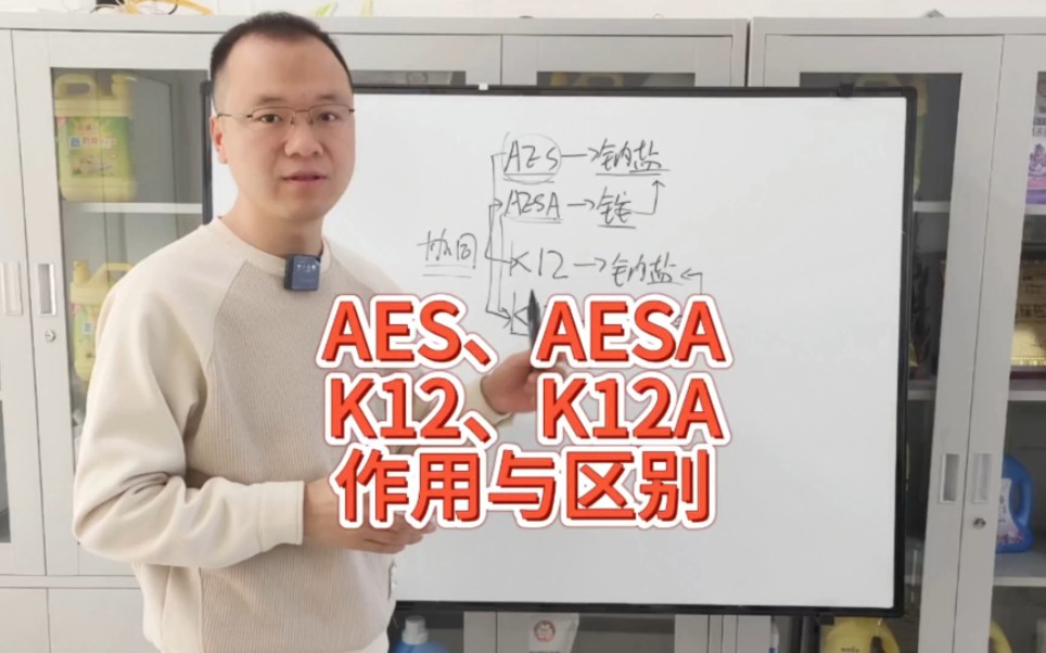AES、AESA、K12、K12A原材料的区别和作用