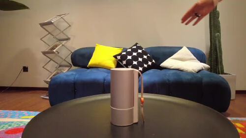 走去露营和"鹏"友一起Pa一把水杯大小的