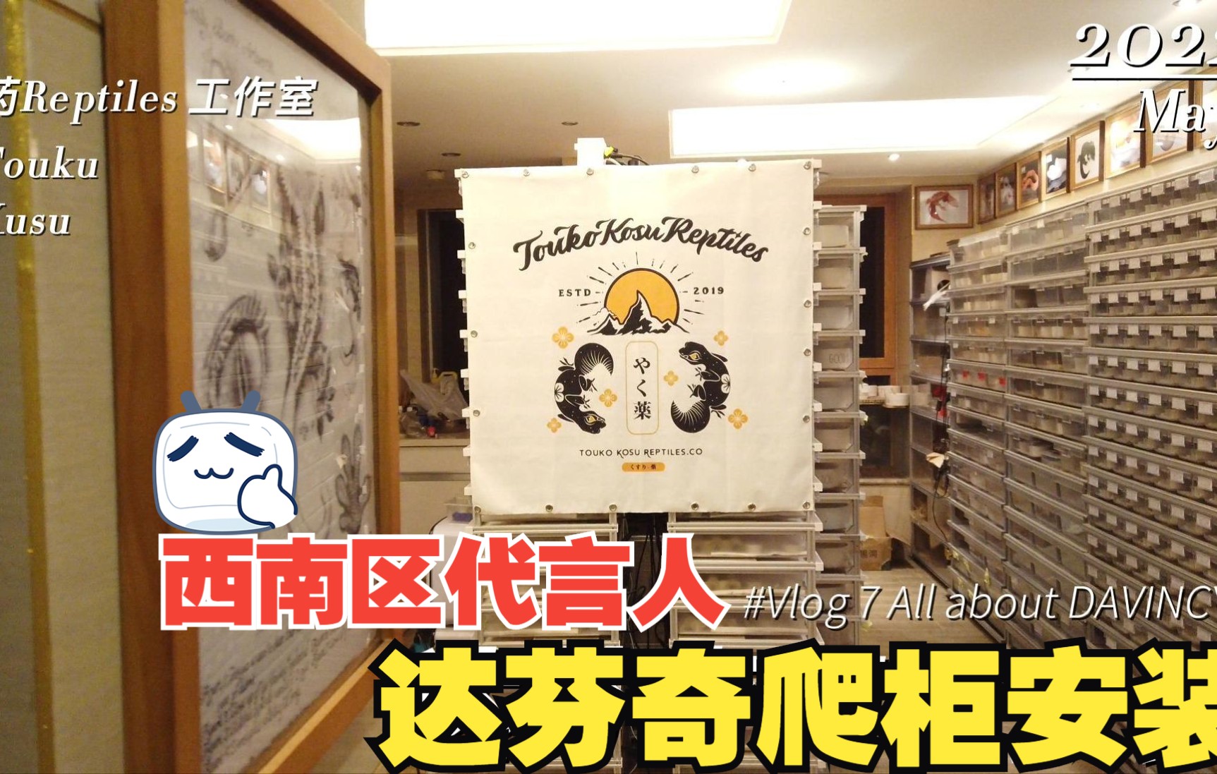 【Vlog7】达芬奇爬柜安装 爬行动物环境最主要的部分爬行动物柜子...