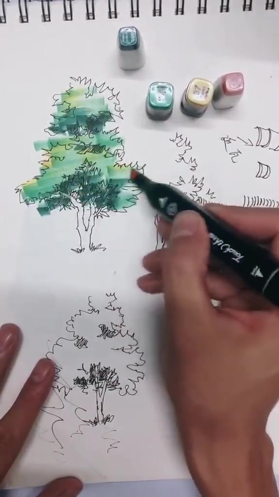 【风景树的画法】,马克笔手绘树的画法
