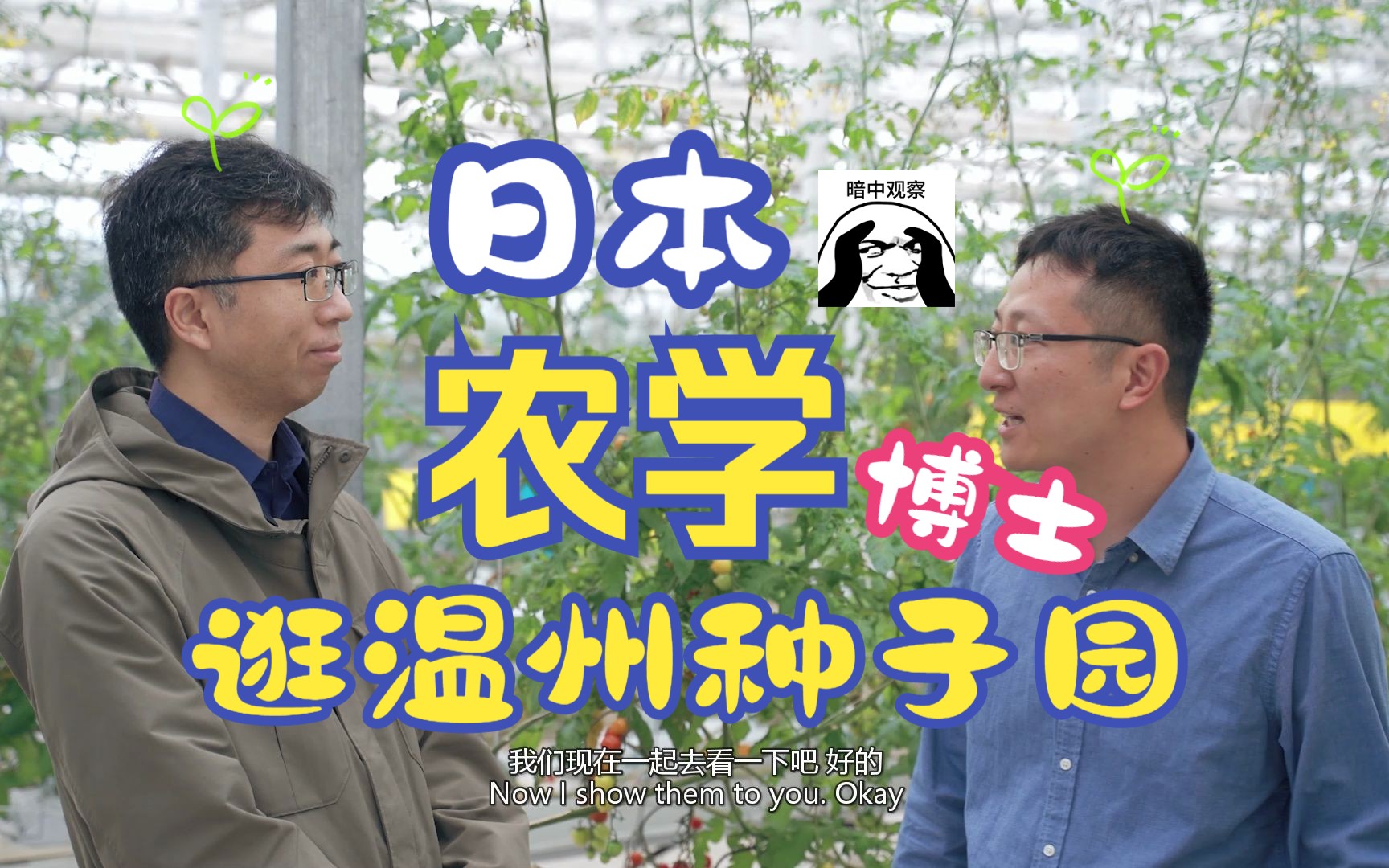 共同富裕“云”荐好物|一粒种子的旅行