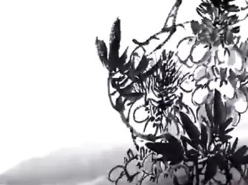 水墨动画 AE作业