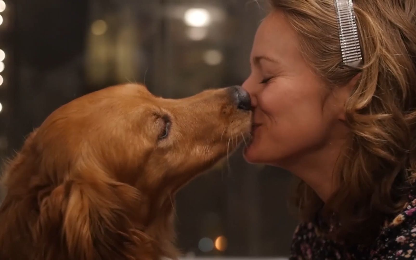 不小心把狗狗口水弄到嘴巴里,会有事吗?看完涨见识了