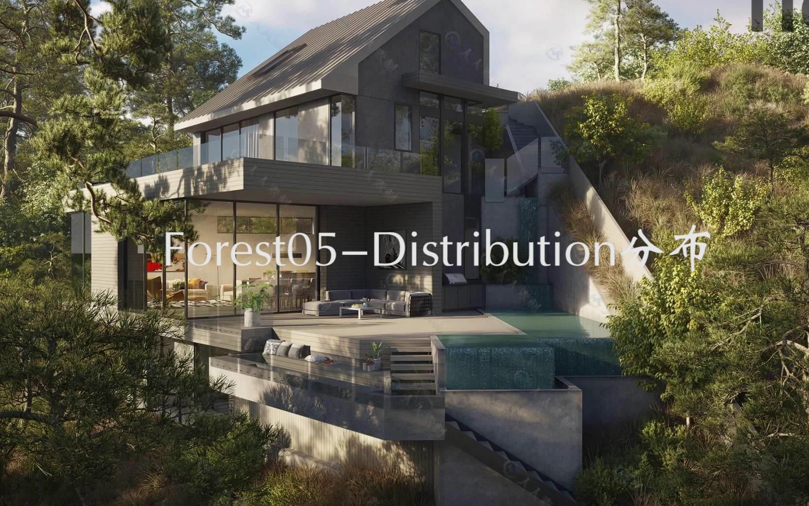 Forest森林教程05-Distribution分布-