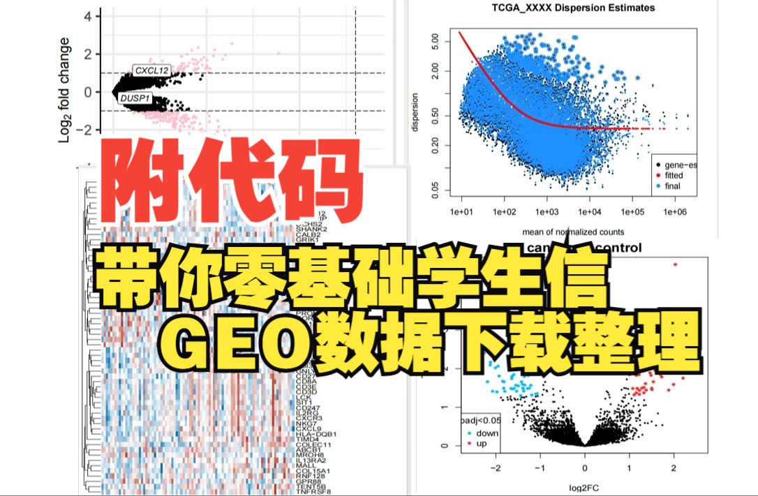 05(附代码)GEO数据下载与整理,保姆级教程,带你零基础学生信,一键...