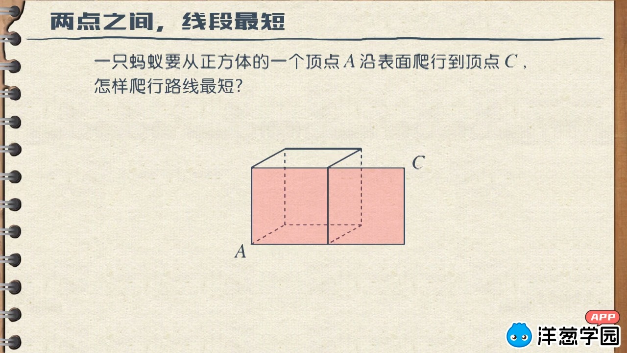 84 两点之间,线段最短
