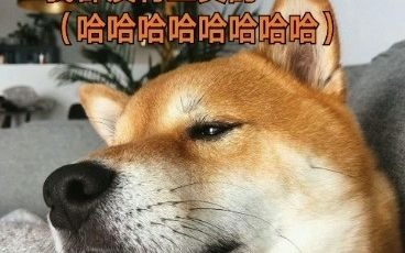 【反诈骗/电信诈骗】关于我接到诈骗电话最后和骗子聊起天的这件事