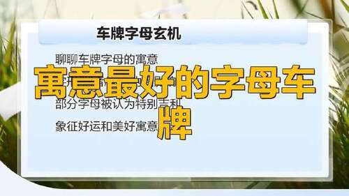 车牌字母暗藏好运玄机!这几个字母让你一路顺风