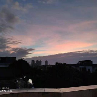 霸王xo