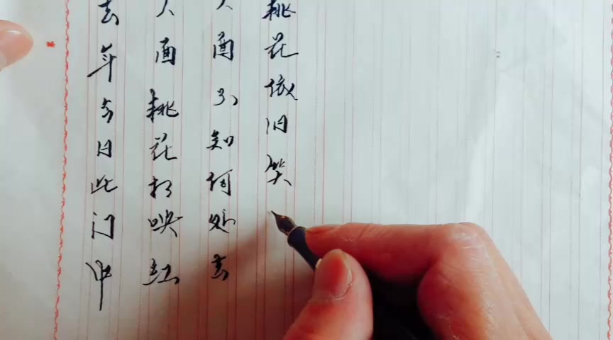 【手写】一言不合就尬字系列钢笔书法(伪)《题都城南庄》