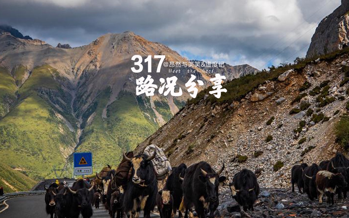 317比318路况好太多了,车少、路直、落差小,平均海拔相对高一点!