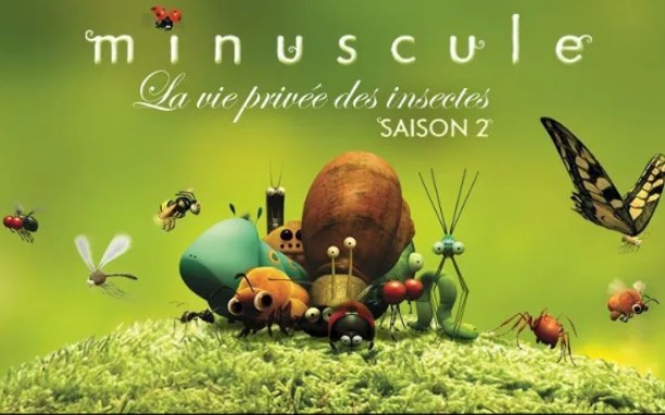 4季全+电影版 自然科普动画 微观小世界 采取记录片的手法拍摄自然...