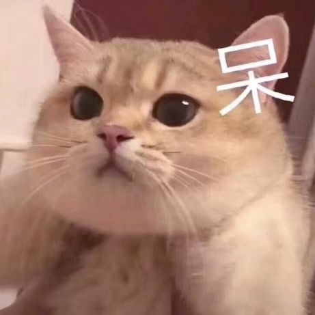 沐歌不是鸽 
