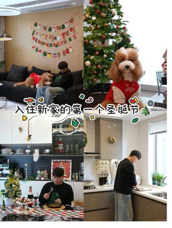 和酷酷在新家入住过的第一个圣诞#大王椰实木多层板#大王椰PET柜门...