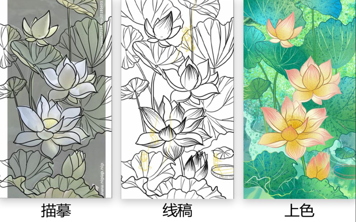 【PS绘画过程】这不是有手就可以画的插画吗?PS插画日常练习- 莲花...