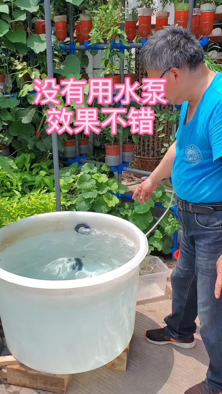 外置气提推水,适合家庭小系统#鱼菜共生系统