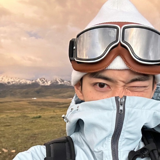 野生的椰壳 