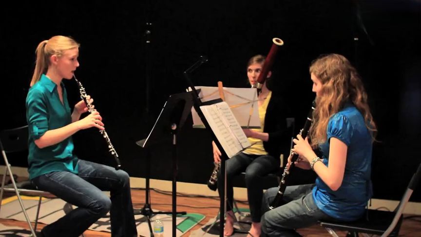 单簧管、双簧管、巴松管演奏《Call Me Maybe》