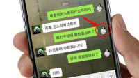 微信可以设置无边框头像了,赶快学,再不会就out了