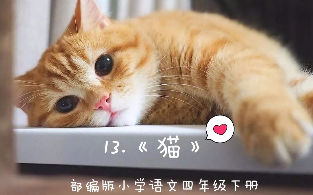 【微课】部编版小学语文四年级下册13课《猫》