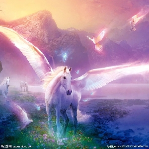 神马老师 