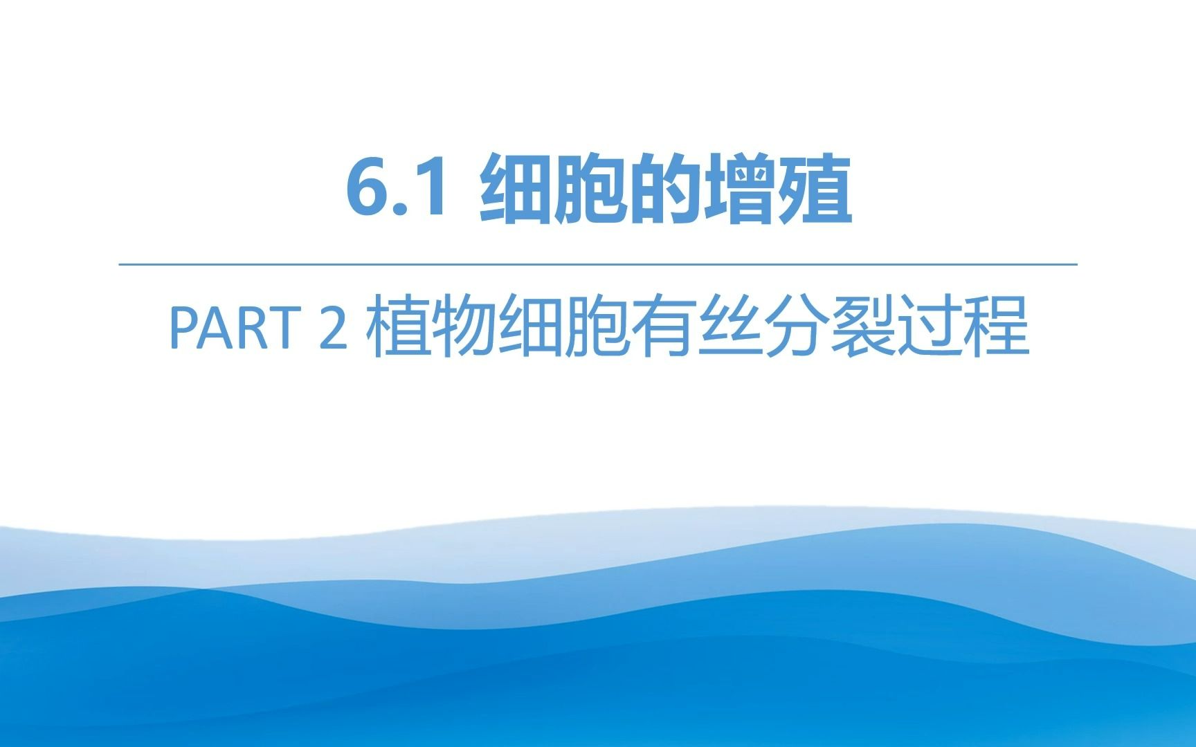 【必修一 · 同步课】6-1-2-细胞的增殖-有丝分裂的过程-以植物细胞为例