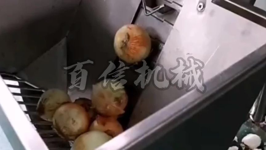 洋葱生产线#洋葱去头去微机#洋葱清洗机#洋葱切丝机#百信机械