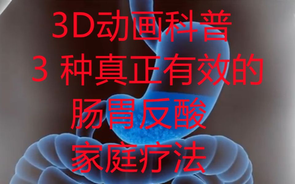 3 种真正有效的反酸家庭疗法-3D动画科普